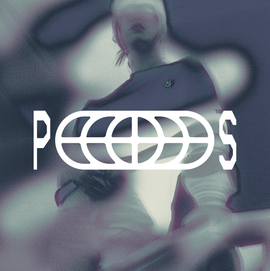 Perplexity Pro Gift Subscription – Perplexity Supply